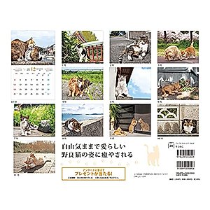 そとねこ (インプレスカレンダー2022)