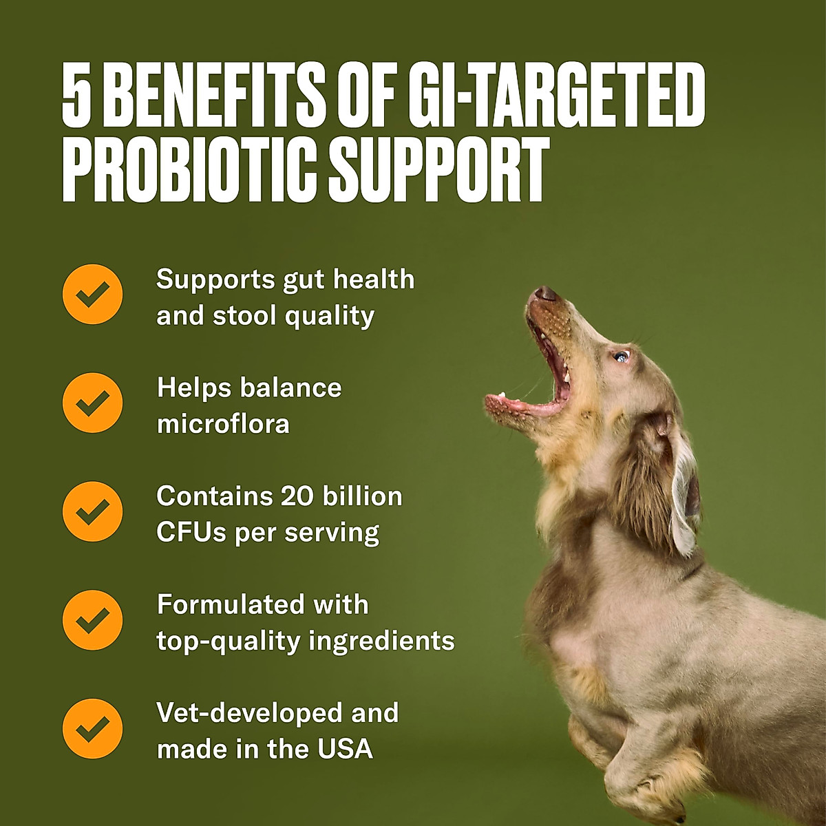 Nom Nom Dog GI-Targeted Probiotic Support - with Prebiotic Fiber, Inulin, and Saccharomyces boulardii - Gut Health Dog Probiotics for Gastrointestinal and Stomach Relief (GI Powder)