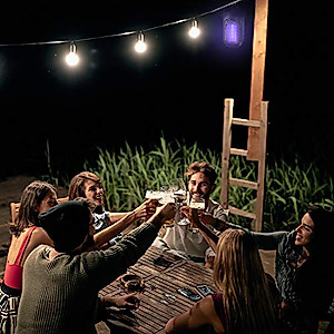 White Kaiman 40 Watt w/ 4000 Volt Outdoor Bug Zapper IP24 Weatherproof Indoor or Outdoor Mosquito Zapper