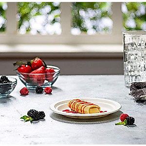 100% Compostable 7 Inch Heavy-Duty Plates [125 Pack] Eco-Friendly Disposable Sugarcane Paper Plates