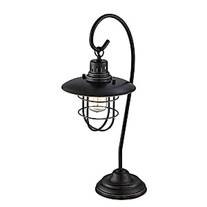 Lite Source LS-21456D/BRZ Lanterna Ii Table Lamp, 10" x 9" x 23"