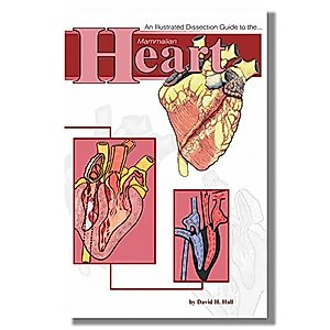 Anatomy Lab Soft Cover Mammal Heart Dissection Guide Book