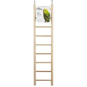 You & Me Bird 9-Step Wood Bird Ladder, 18" L