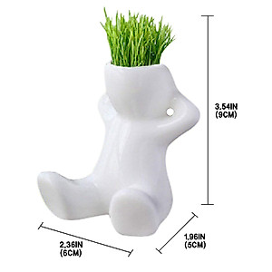 Lincox Mini Bonsai Head Grass Doll Hair White Ceramic Plant Garden, Tree Doll Grass Pot, Ceramic Air Head People Planters Air Plant Holders Table Top Display for Mini Plants Home Garden Decor (B)