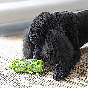 JW Pet Hol-ee Bottle Dog Chew Puzzle Toy, Medium