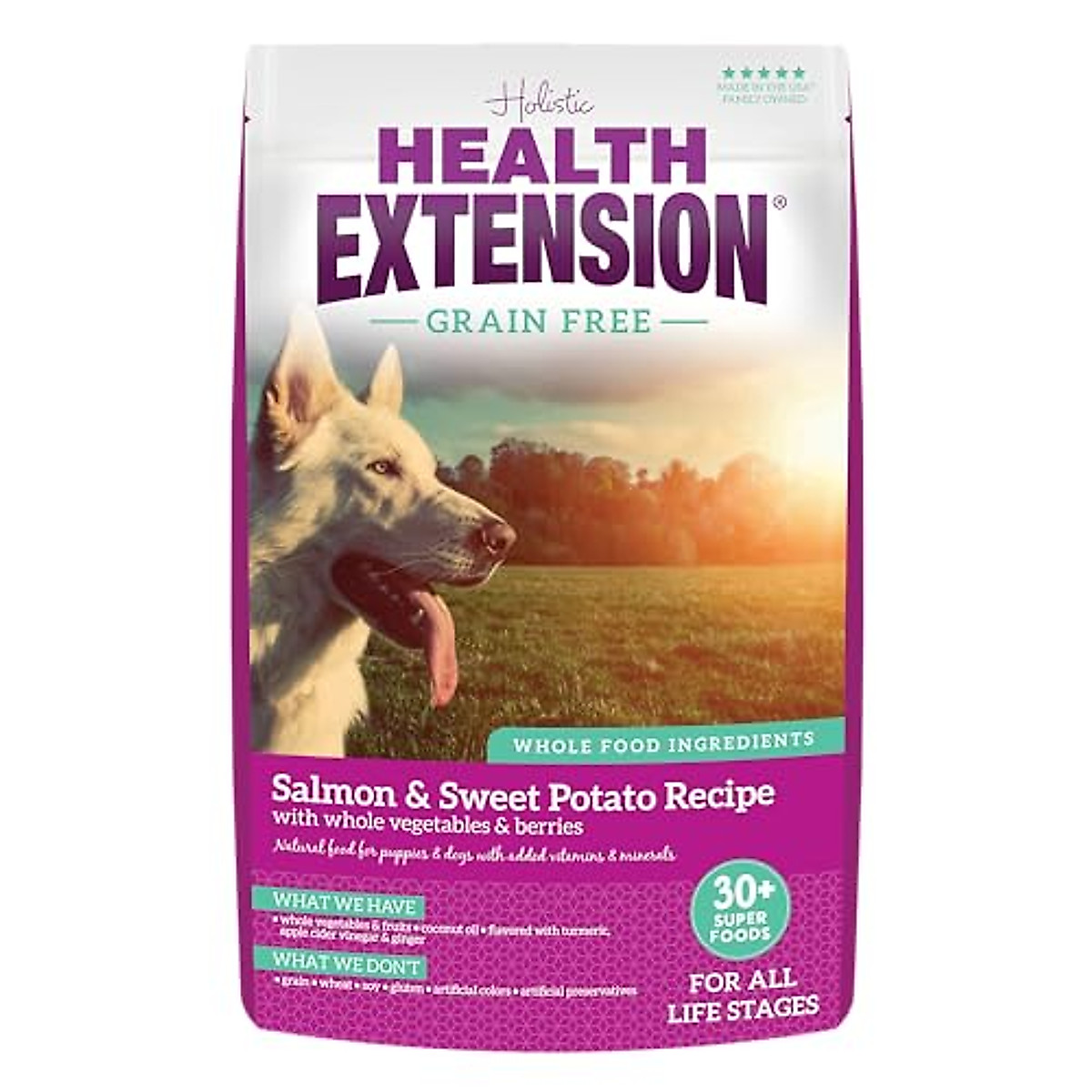 Health Extension Dry Dog Food, Natural with Added Vitamins & Minerals, 1 lb / 0.45 kg, Grain Free, Salmon & Sweet Potato Recipe with Vegetables & Berries for All Puppies
