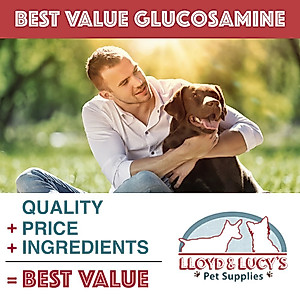 Lloyd & Lucy's Hip and Joint Supplement for Dogs - Chewable Multivitamin with Glucosamine, Chondroitin, MSM and Vitamin C - Healthy Liver Flavored Treat Pets Will Love - 180 Ct Tablets