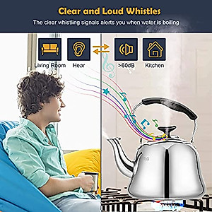 Tea Kettle Stovetop Whistling Teakettle Classic Teapot Stainless Steel Tea Pots for Stove Top with Thin Fast Heating Base, Mirror Finish, 2 liters