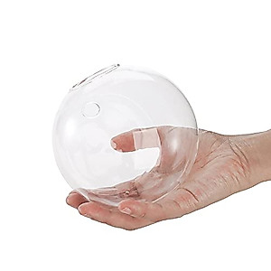 yarlung Set of 6 Wall Hanging Planters Terrarium, Glass Oblate Globe Plants Containers Wall Mount Flower Vase for Propagating Hydroponics Plants, Air Plants (Plants Not Included)