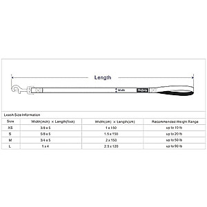 Blueberry Pet Essentials Matching Dog Collar Leash Harness Set in Verdant Green, Adjustable Classic Solid Color Nylon Collar with Harness & 5 ft Leash for Small Dogs