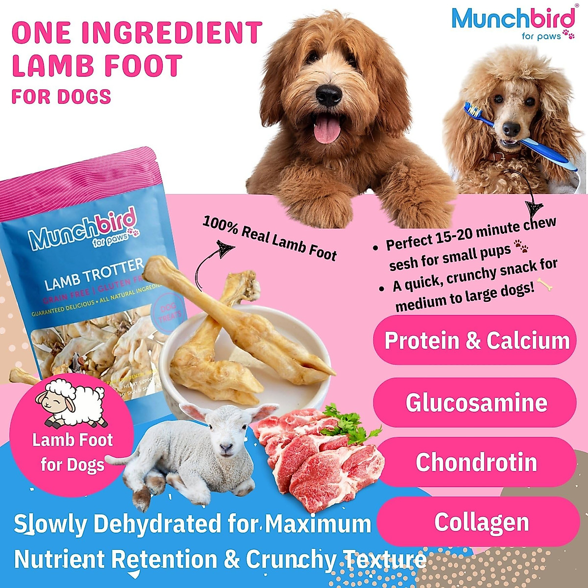 Lamb Trotter Dehydrated Dog Treats Glucosamine Lamb Treats for Dogs Chondroitin Hips and Joints Lean Hypoallergenic Protein Rawhide Free Safe Bones Alternative to Duck Feet Lamb Ears (12 to 16 Pieces)