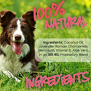 Ink Oil Itchy Pup | Itch Relief Supplement for Dogs | Calms & Soothes Rashes, Dry Skin & Insect Bite | 100% Natural Liquid Drop Pet Health Skin Care | Fast Skin Relief Therapeutic Essential Oil - 1 oz