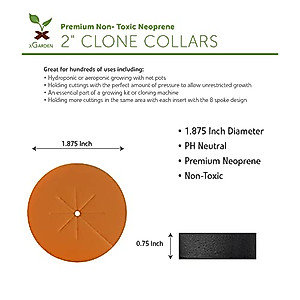 xGarden Neoprene Clone Collars - 120 Pack Cloning Collars, 2" Inch, Multi-Color - DIY Foam Cloner Inserts for Net Pots, Hydroponics, Aeroponics