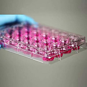 United Scientific™ F1004 Non-Sterile Polystyrene Well Pate | 24 Wells | Desinged for Laboratory, Classroom, or Home Use | Pack of 10