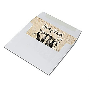 Small World Greetings Sorry It Took So Long Sloth Greeting Card 12 Count - Blank Inside with Envelopes - A2 Size (5.5"x4.25") - Belated Birthday, Late Shipment, Apology, Belated Thank You