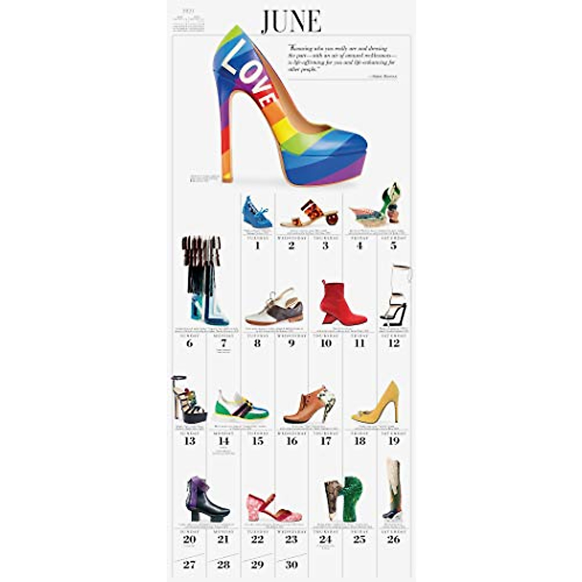 365 Days of Shoes Picture-A-Day Wall Calendar 2021