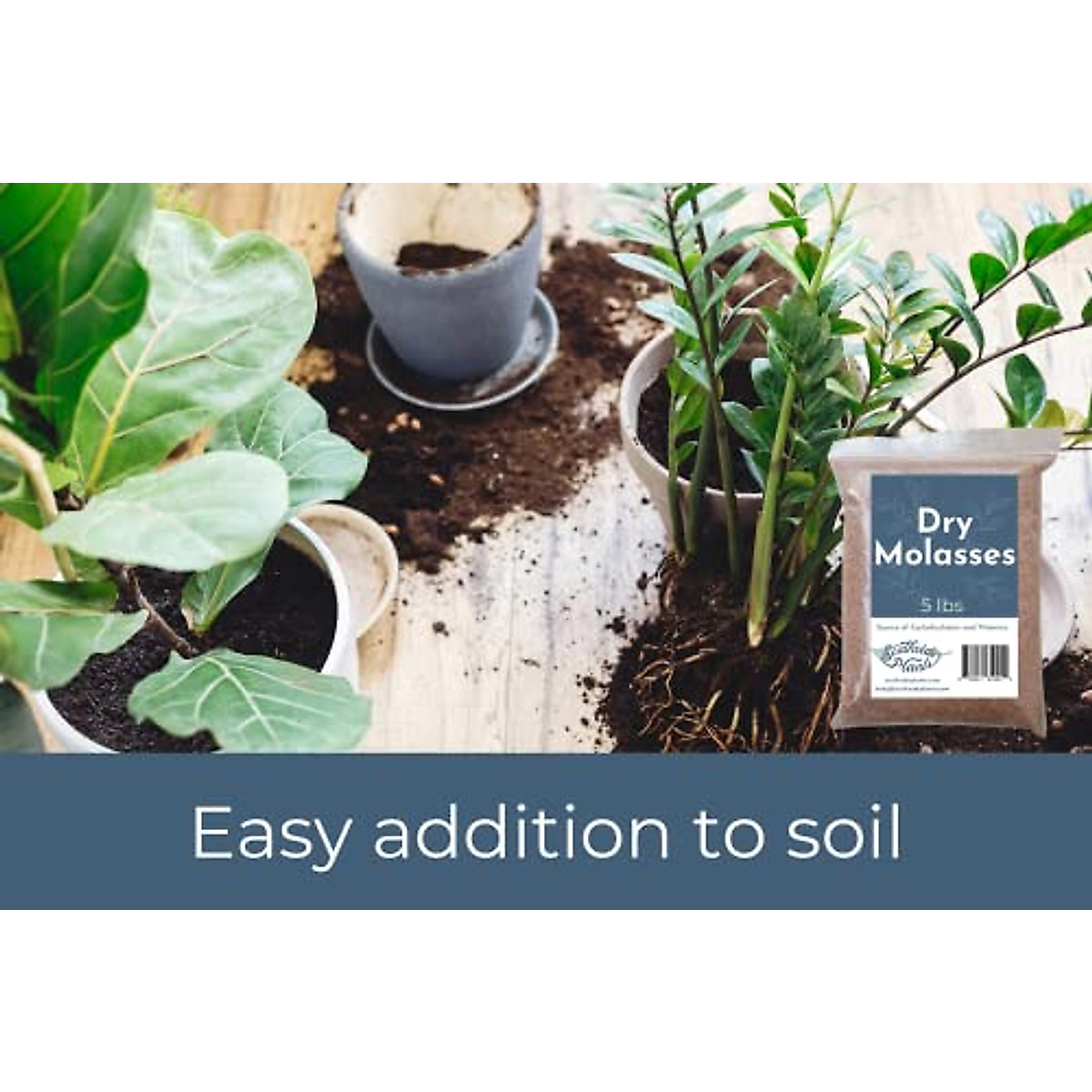 Southside Plants Dry Molasses Plant Fertile Soil - Organic Dried Molasses Powder Boost Health of Your Soil & Pet with Vitamins Carbohydrates - Beneficial Soil for Natural Gardening 5 lb