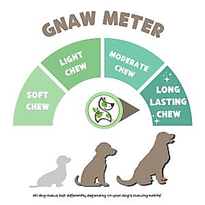 Nature Gnaws Braided Collagen Sticks for Dogs 6" (5 Count) - Long Lasting for Aggressive Chewers and Large Dogs - Natural Beef Hide Dog Chew Bones