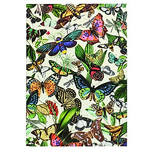 Portico Designs Blank Notecard Set with Card Wallet for Notecards Archive Collection Stationary Set, 10-Count, A Little Note