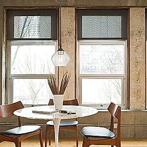 Globe Electric Harrow 1-Light Pendant, Gold Accent Socket, Shade 60312, 59.6", Matte Black with Clear Glass