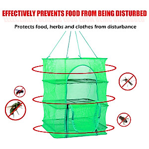WEISGJA Hanging Drying Rack 4 Layers Foldable Nylon Netting, Folding Fish Mesh, Drying Fish Net for Shrimp Fish Fruit Vegetables Herb, with Zipper Opening, Green (22.4X15.7X25.5 in/Large)