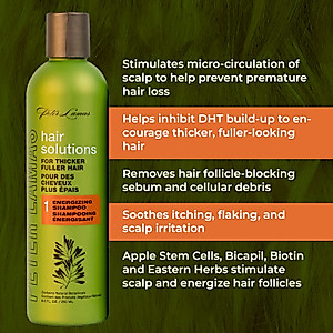 Peter Lamas Biotin Shampoo for Men & Women, DHT Blocker Shampoo, Promotes Hair Growth for Thicker and Fuller Hair, Complete Dry Scalp Treatment with Peppermint Oil for Daily Hair Care