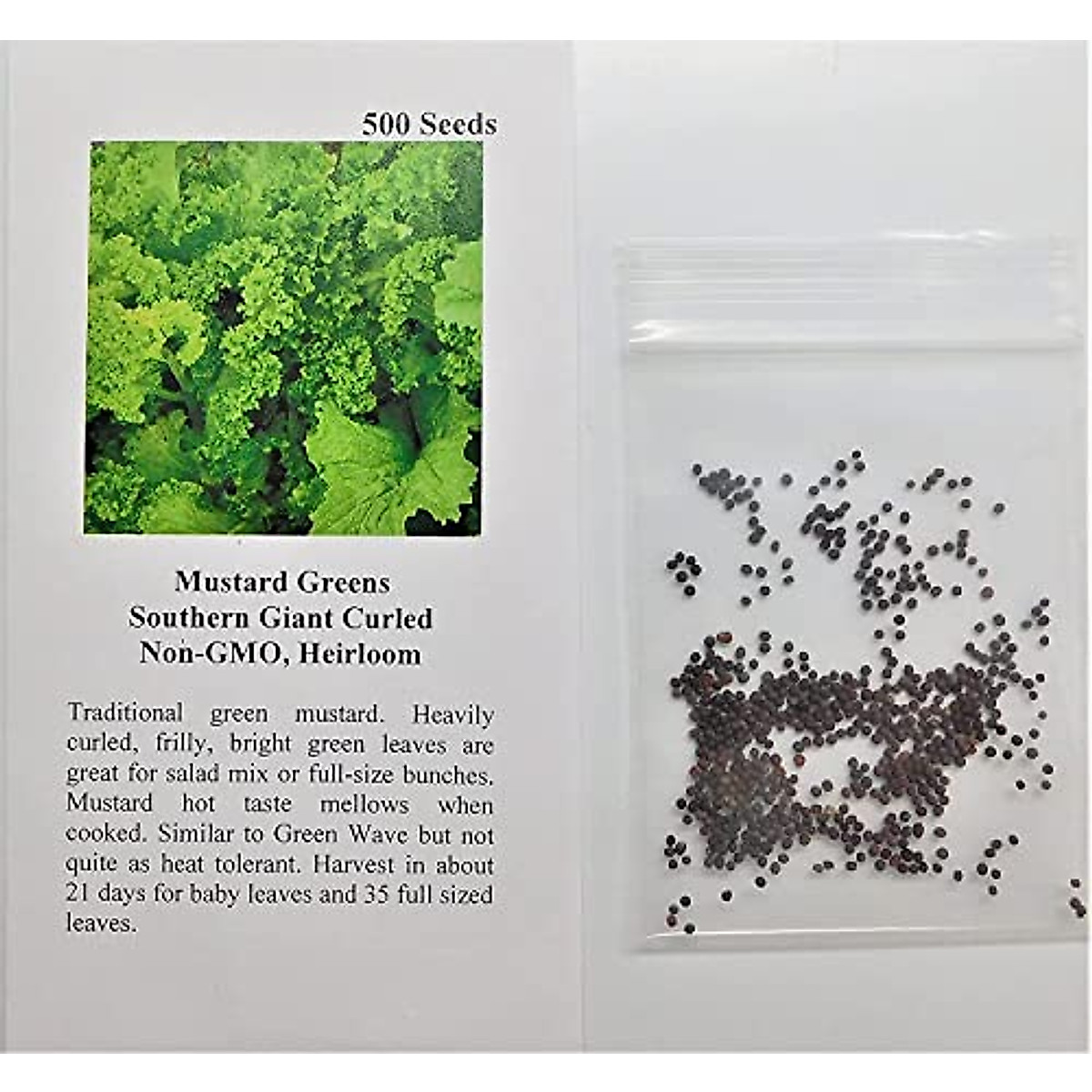 David's Garden Seeds Mustard Greens Southern Giant Curled FBA-00055 (Green) 200 Non-GMO, Heirloom Seeds