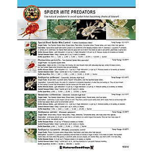 Nature's Good Guys 20,000 Live Adult Predatory Mites - P. persimilis - Ships Next Business Day!
