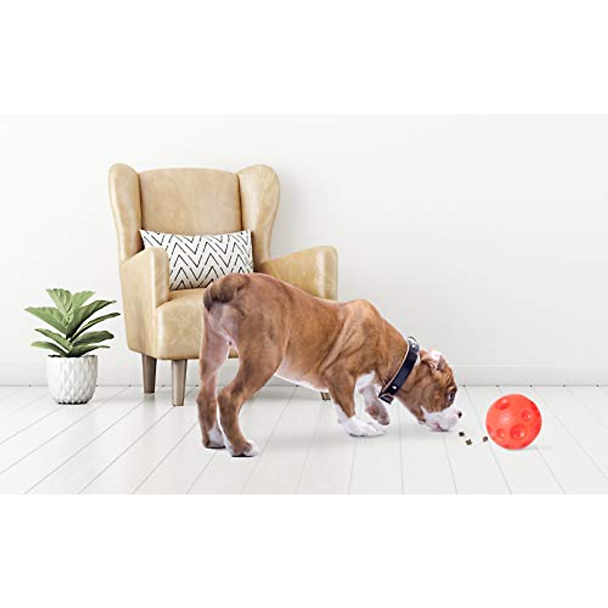 Omega Paw Tricky Treat Ball, Large