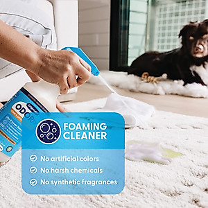 Origin Labs OdorFx Pet Stain and Odor Remover for Pet Stains and Odors, Fragrance Free Rug, Upholstery, and Carpet Cleaner Solution, Probiotics and Enzyme Cleaner Spray No Harsh Chemicals, 32 Fl Oz