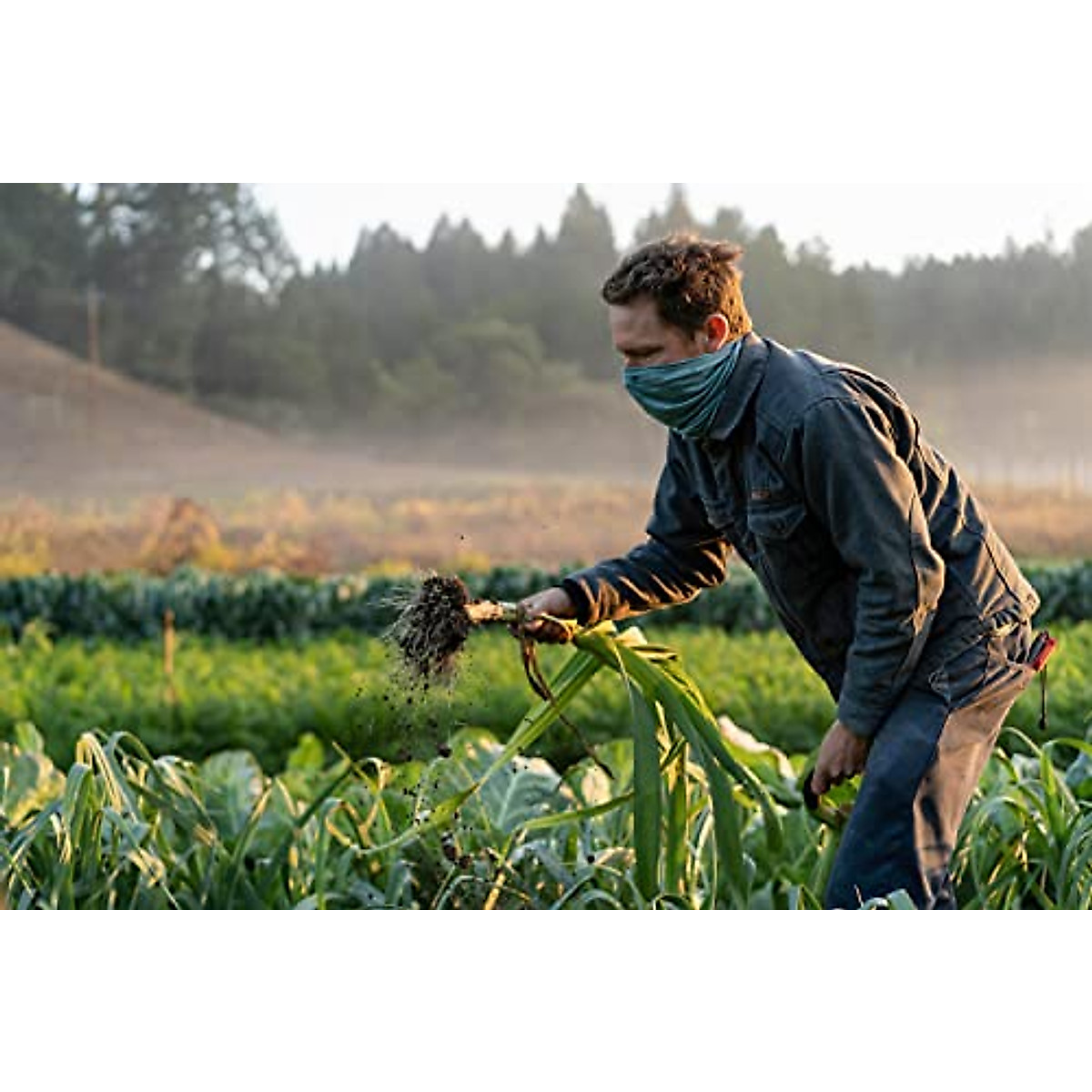 BUFF Standard Merino Wool Move, Graphite, One Size