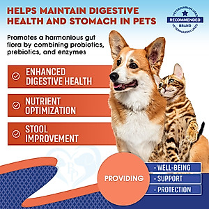 Probiotics & Prebiotics with Enzymes for Dogs and Cats - Digestive Gut Flora Health Pet Food Supplements - Constipation & Diarrhea and Gas Home Remedy - Upset Stomach Relief - Made in USA