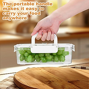 MOLINGRITAR Fruits Storage Container for Fridge, Plastic Refrigerator Organizer Bins Set of 3, Fresh Produce Saver Containers with lid and Handle, Time Dial and Vent Control Crisper Box