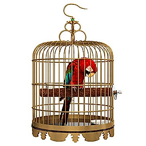 6 Pcs Bird Perch Stand Toy, Wood Parrot Stand Platform Colorful Sand Paw Grinding Stick Cage Accessories Exercise Toys for Cockatiel Conure Budgies Parakeet Lovebird Hamster Gerbil Rat Mouse (6 Pcs)