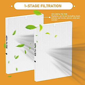 Allisfresh 116130 True HEPA Replacement Filter H Compatible with Winix 5500-2 Air Cleaner Purifier and Models AM80, 4 Pack HEPA Filter only