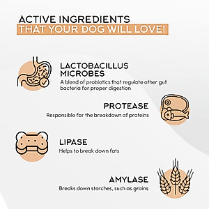 Gnawty Bites Biome Balance | Dog Probiotics for Healthy Gut Flora for Upset Stomach, Diarrhea, & Bowel Support with Digestive Enzyme & Lactobacillus (5-Strain Probiotic Blend), 120 Soft Chews