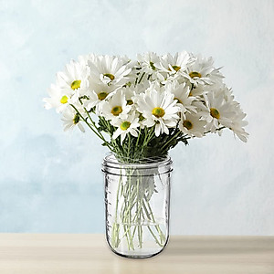 DLAND 20 Pieces Mason Jar Flower Frog Holder Lid Arrangement Flower Insert Lid Grid Organizer Lid Metal with Square Grids for Regular Standard Mouth Canning Jar.