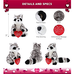 DolliBu I Love You Valentine Plush Raccoon - Cute Stuffed Animal with Red Heart and Name Personalization Gift for Valentines Day, Birthday, Anniversary, Romantic Date - 9 Inches