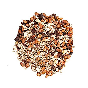 Wagner's 82072 Gourmet Nut & Fruit Wild Bird Food, 5 Pound (Pack of 1)