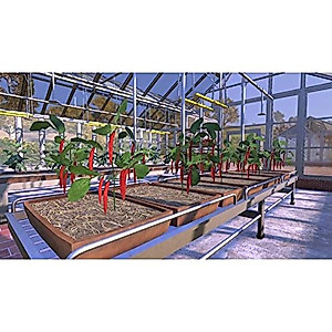 Farmer's Dynasty (PS4)