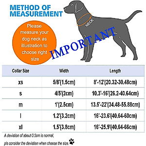 LOIIHEII Mothers' Day Dog Leash Match Dog Collar,Solid and Durable Dog Leash with Red Flowers,Leashes for Dog Training & Behavior aids for Small to Medium Dogs(S)