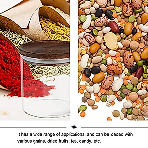 Mason Jars Mason Jars Glass Canister Jars Glass Kitchen Canisters with Airtight Bamboo Lid Cylinder Storage Containers for Flour Sugar Coffee Cookie Candy Snack and More 9. 5x13. 2 Terrarium/183 ( Col