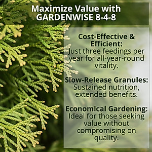 GARDENWISE 8-4-8 Acidic Fertilizer for Azaleas, Camellias (Camelia), Hydrangeas, Blueberries, Gardenias, Magnolia Trees, Evergreens, and Rhododendrons - Ideal Iron-Rich Plant Food (12 OZ)