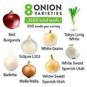 8 Onion Seeds for Planting - 1600 Heirloom Onion Seeds - Green Onion, Sweet Onions, Vidalia, Spanish, Yellow and Red Onion Vegetable Seeds for Planting and More