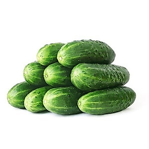 50 Straight Eight Cucumber Seeds - Heirloom Non-GMO USA Grown Vegetable Seeds for Planting - Pickling and Slicing Cucumber