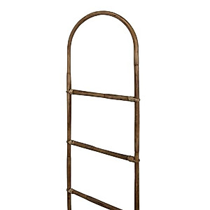 Creative Co-Op Decorative Bamboo Blanket Ladder, 60.25", Natural