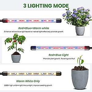 Grow Lights for Indoor Plants, LED Full Spectrum Plant Light with Stand (Adjustable Tripod 15-60inch for Floor Plants, Red/Blue/White, 4/8/12H Timer with Remote Control) (Red)