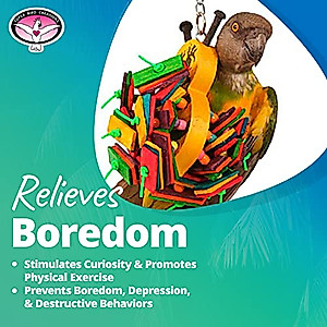 Super Bird Creations SB391 Sm. Buzbee Bird Toy, Small/Medium Bird Size, 9" x 4" x 4"