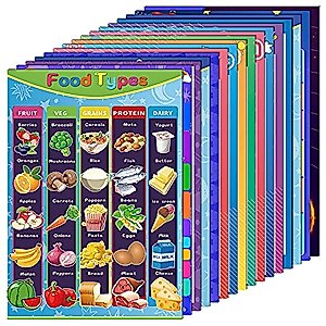 FYYZY Educational Posters for Toddler and Elementary School Classroom Learning Alphabet Numbers Shapes Colors Laminated Poster Chart Set 14 Pack