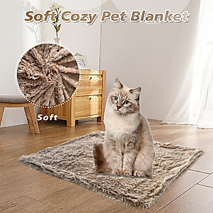 PJYuCien Fluffy Fleece Calming Pet Throw Blanket, Super Soft and Warm for Indoor Cats and Dogs, Small 16 * 24", Machine Washable, Grey Puppy Blanket(Brown)